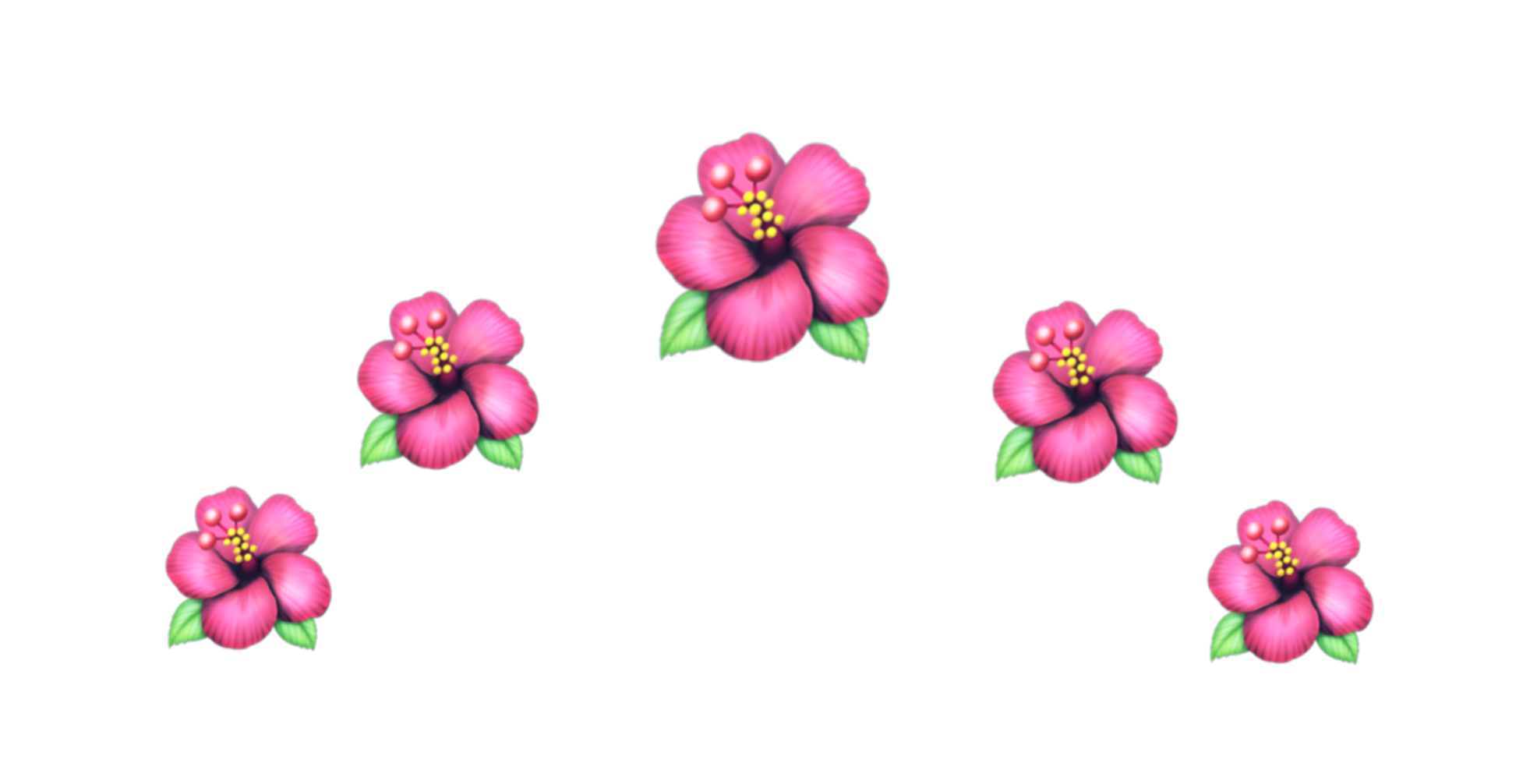 Emoji With Flower Crown | Best Flower Site