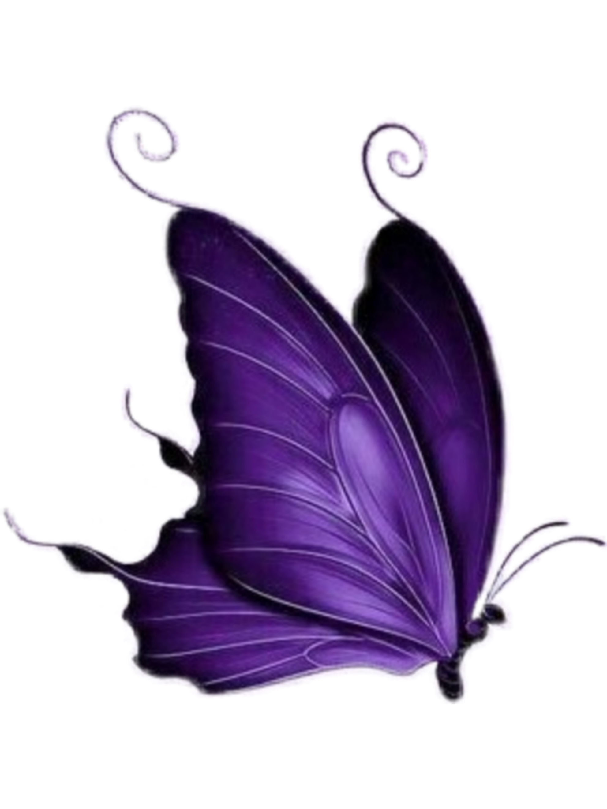 Mariposas Moradas Animadas 0 Result Images Of Mariposas Moradas Para
