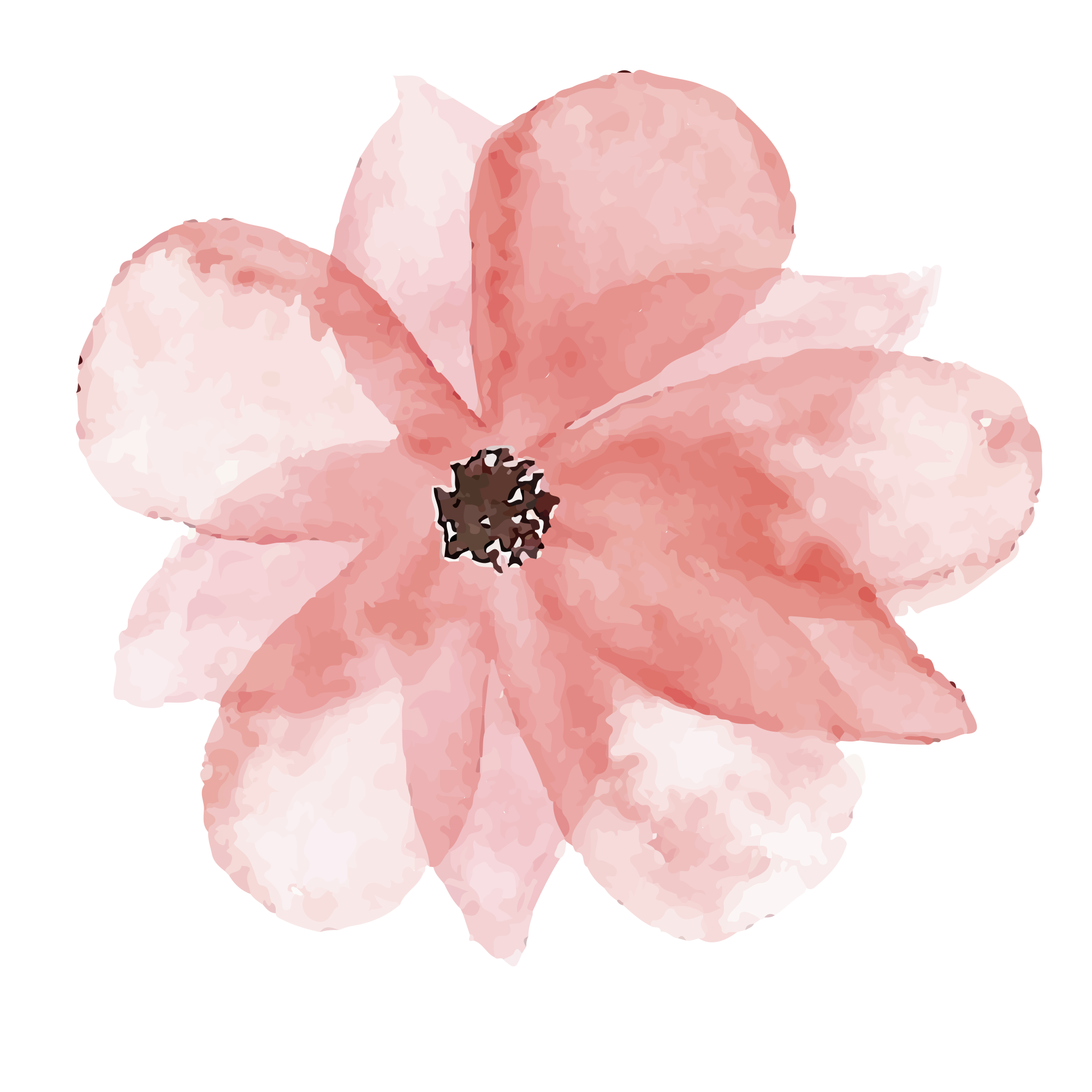 Flower Picsart | Best Flower Site