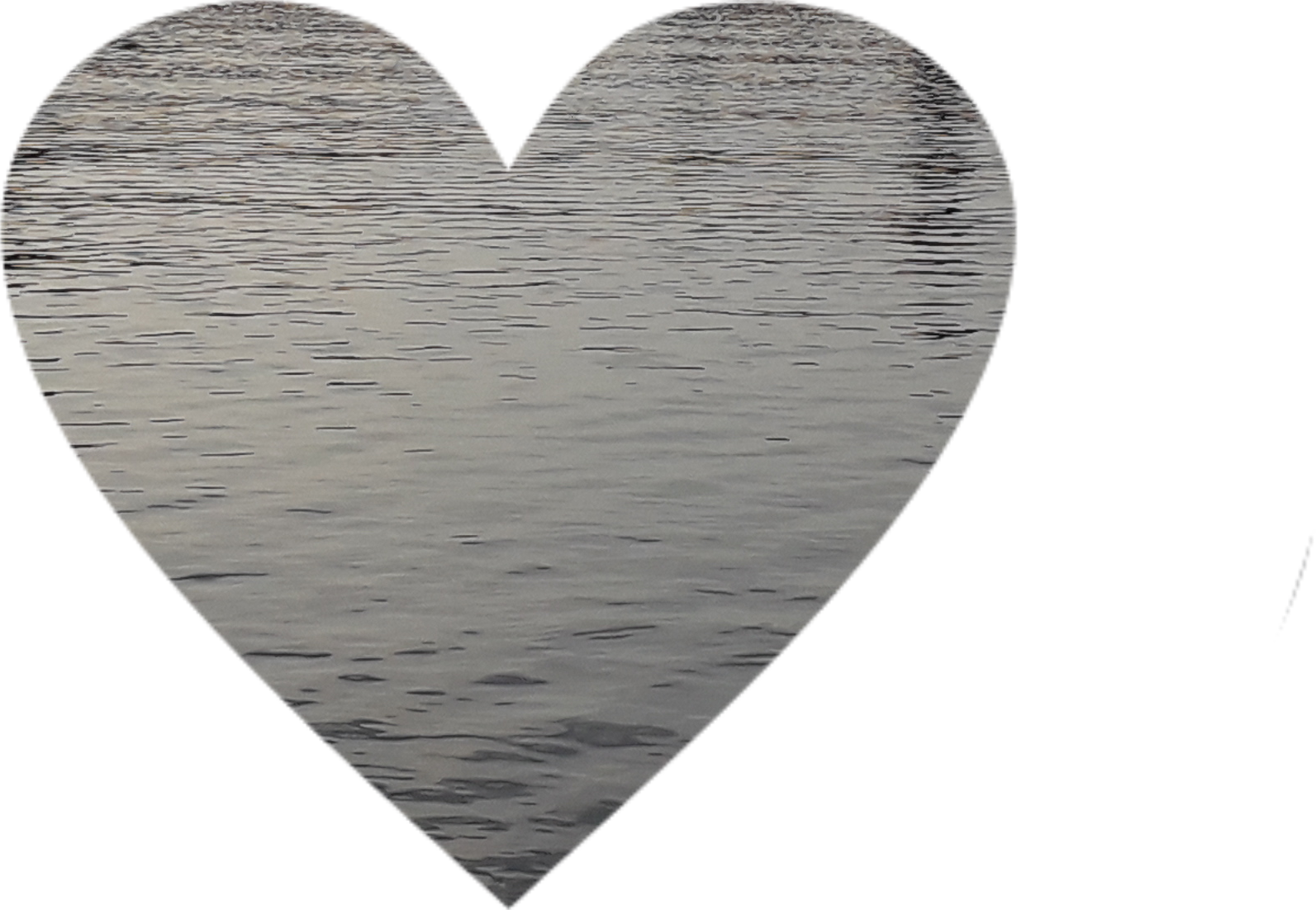 Coco Sticker Png Press Transparent Png Free Download